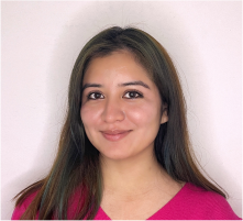 Leapfrog Student Partnership Program